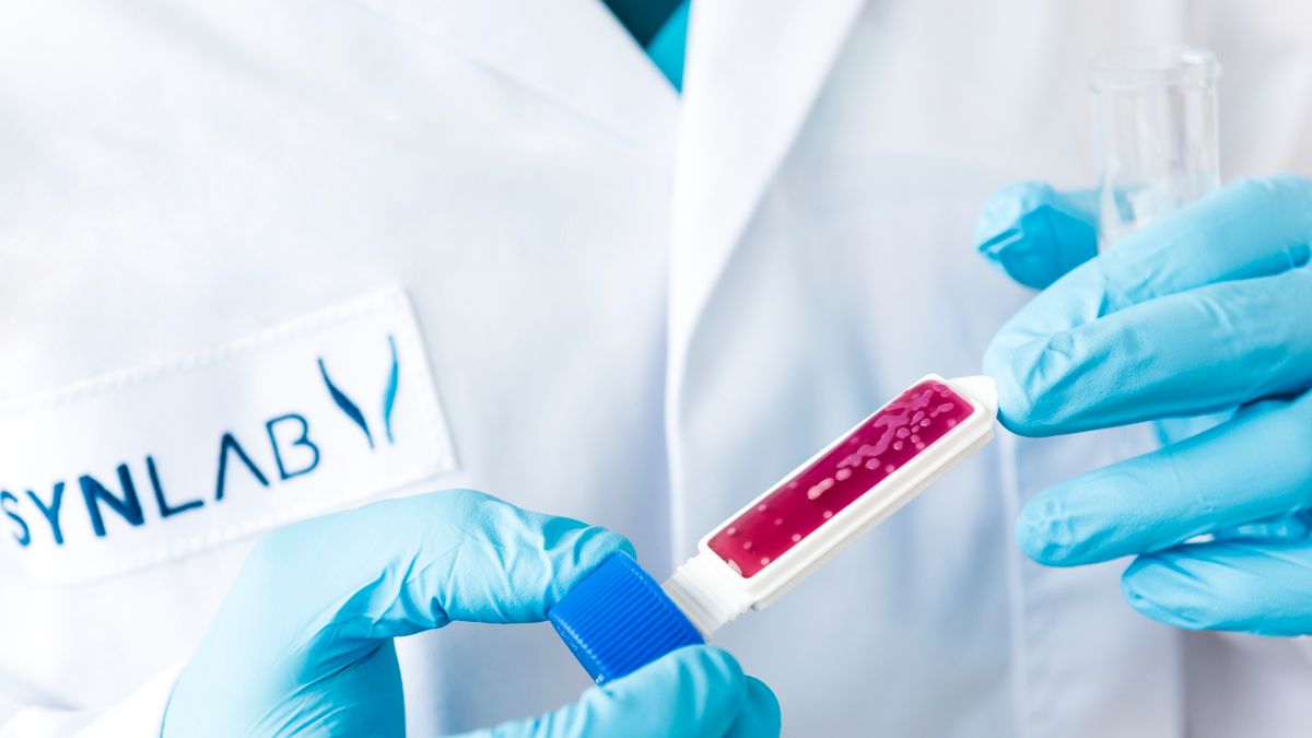 Szárnyal a Synlab Hungary - Világgazdaság