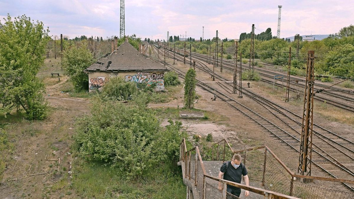 Budai Gyula durván nekiment Karácsony Gergelynek - Világgazdaság